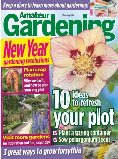 Amateur Gardening n°205
